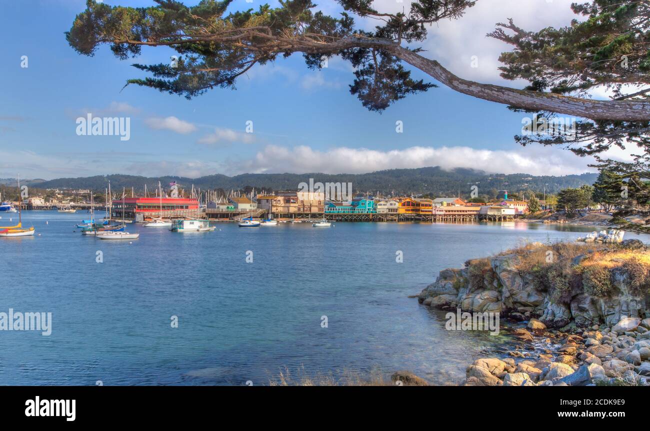 Monterey marine sanctuary hi-res stock photography and images - Alamy