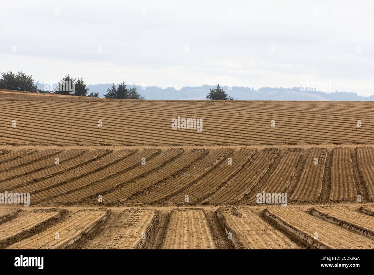 Cultivated Farm Land Stock Photo - Alamy