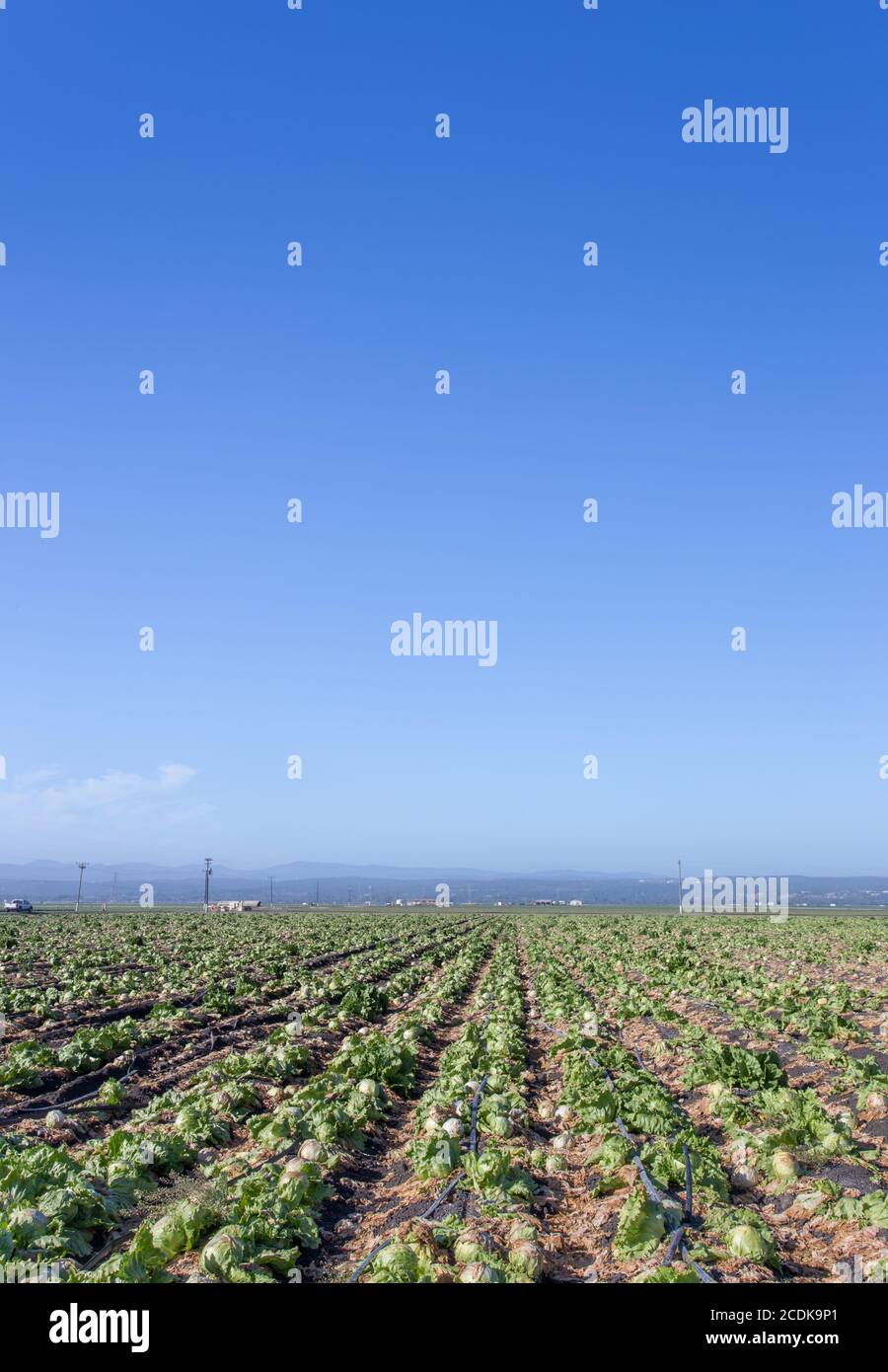 California monterey county salinas valley hi-res stock photography and ...