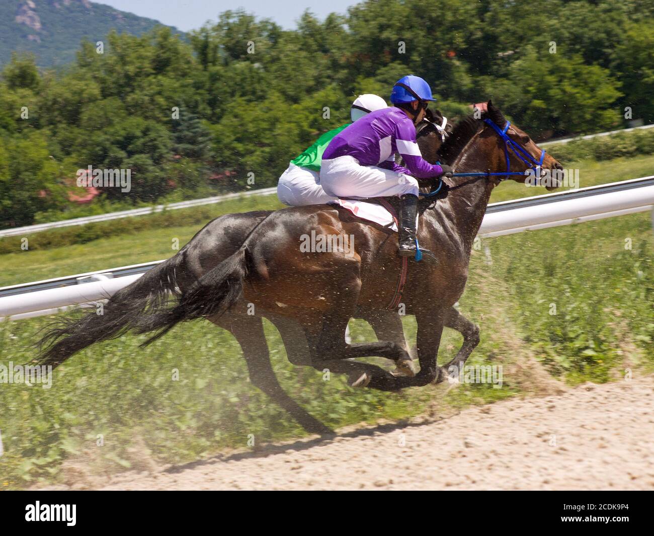 Pyatigorsk hippodrome hi-res stock photography and images - Alamy
