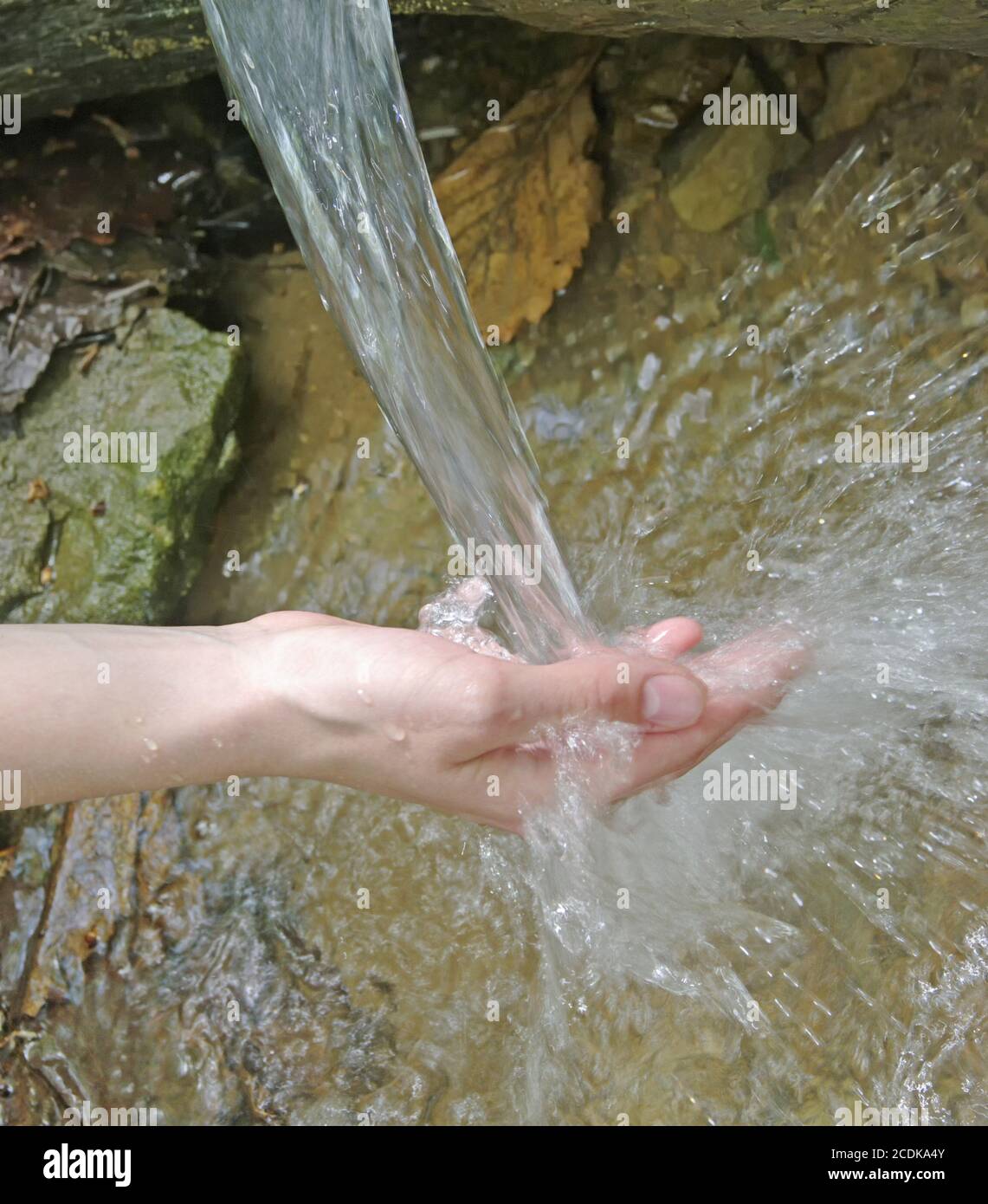 Vital flow hi-res stock photography and images - Alamy