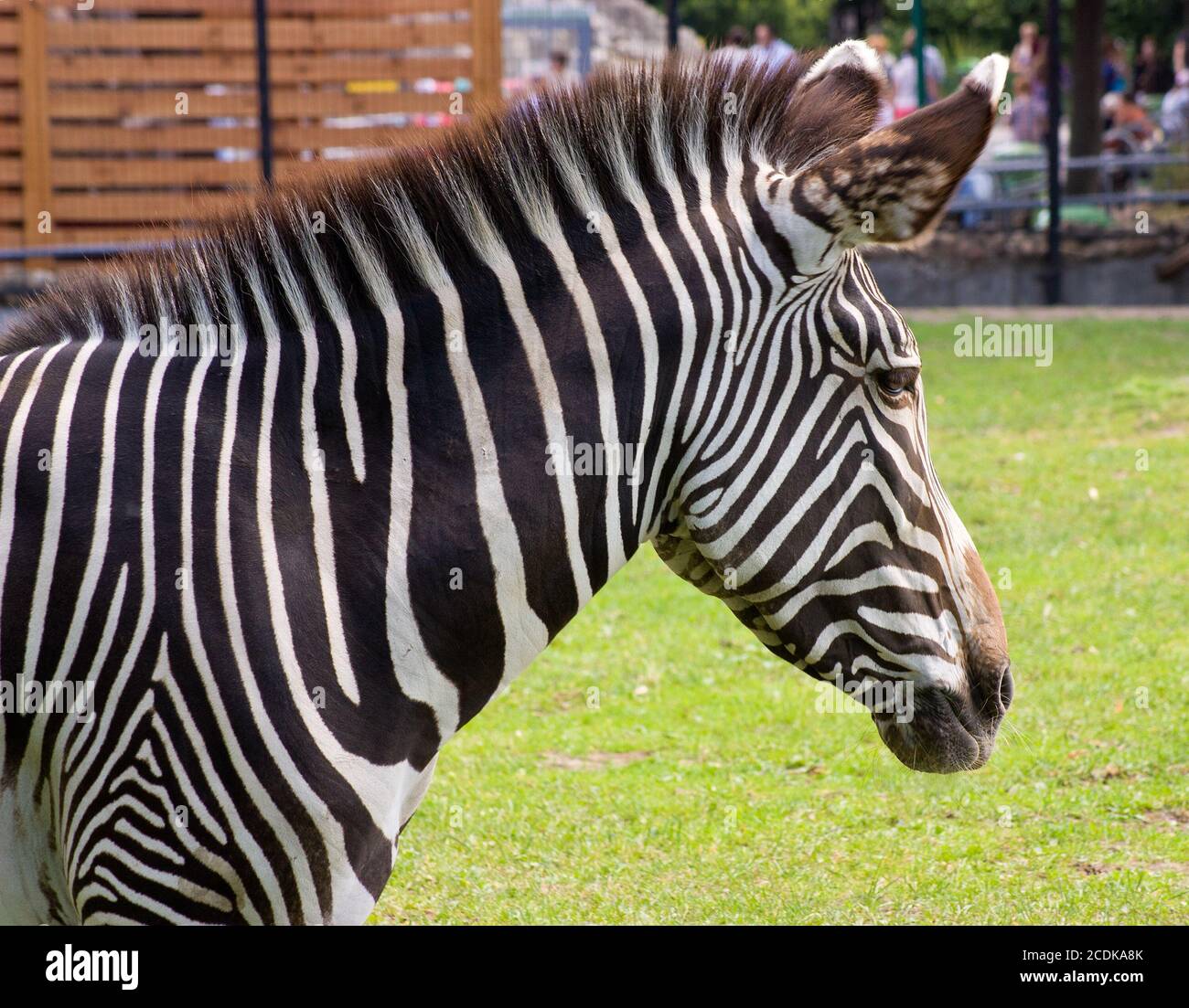 Russia moscow young family hi-res stock photography and images - Alamy