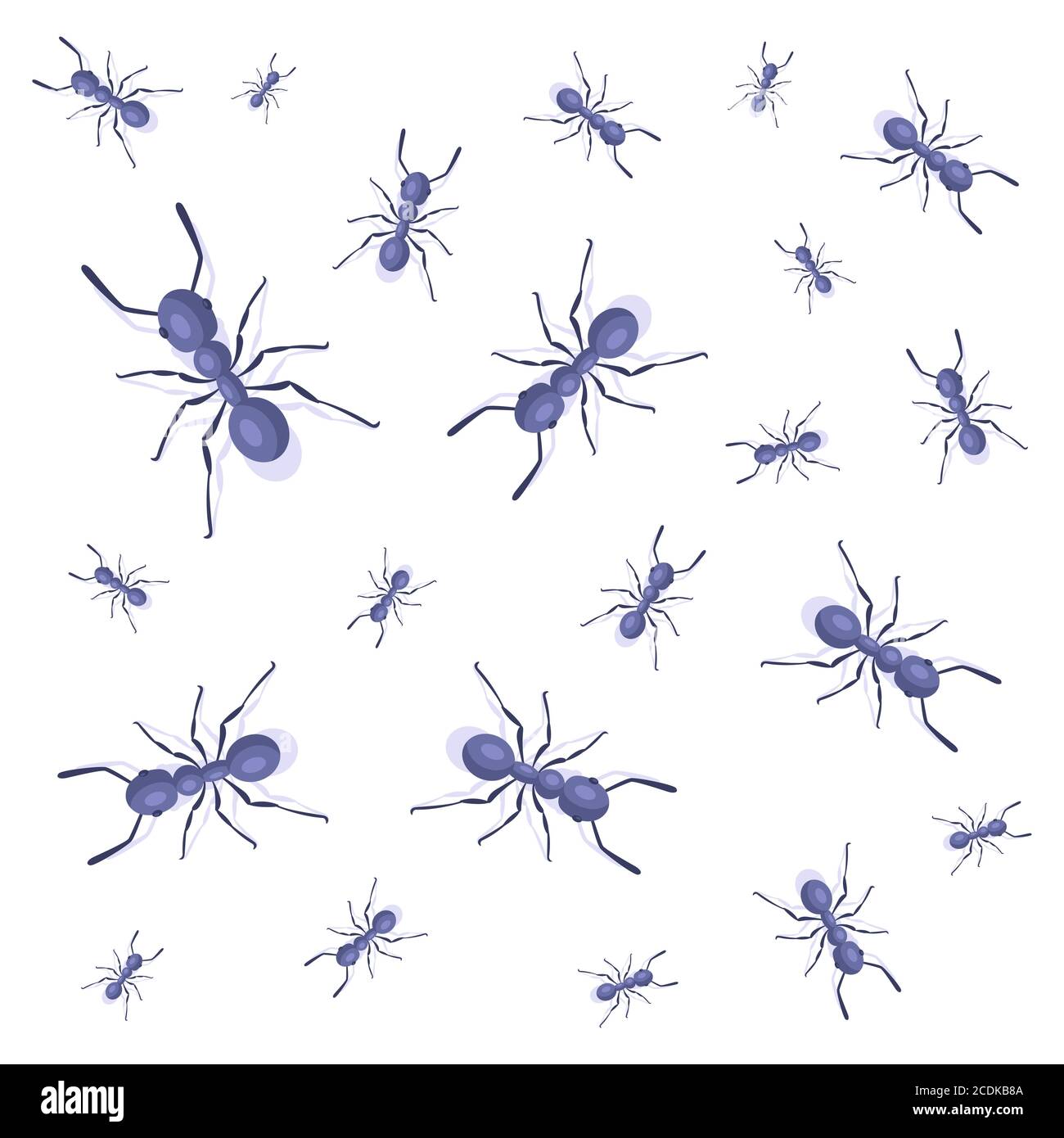 colony of ants on a white background. insect pests. flat vector ...