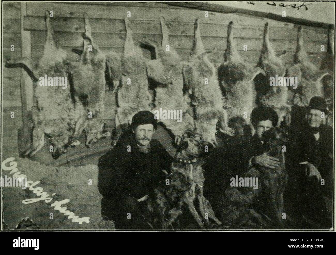 Ner e nough hi-res stock photography and images - Alamy