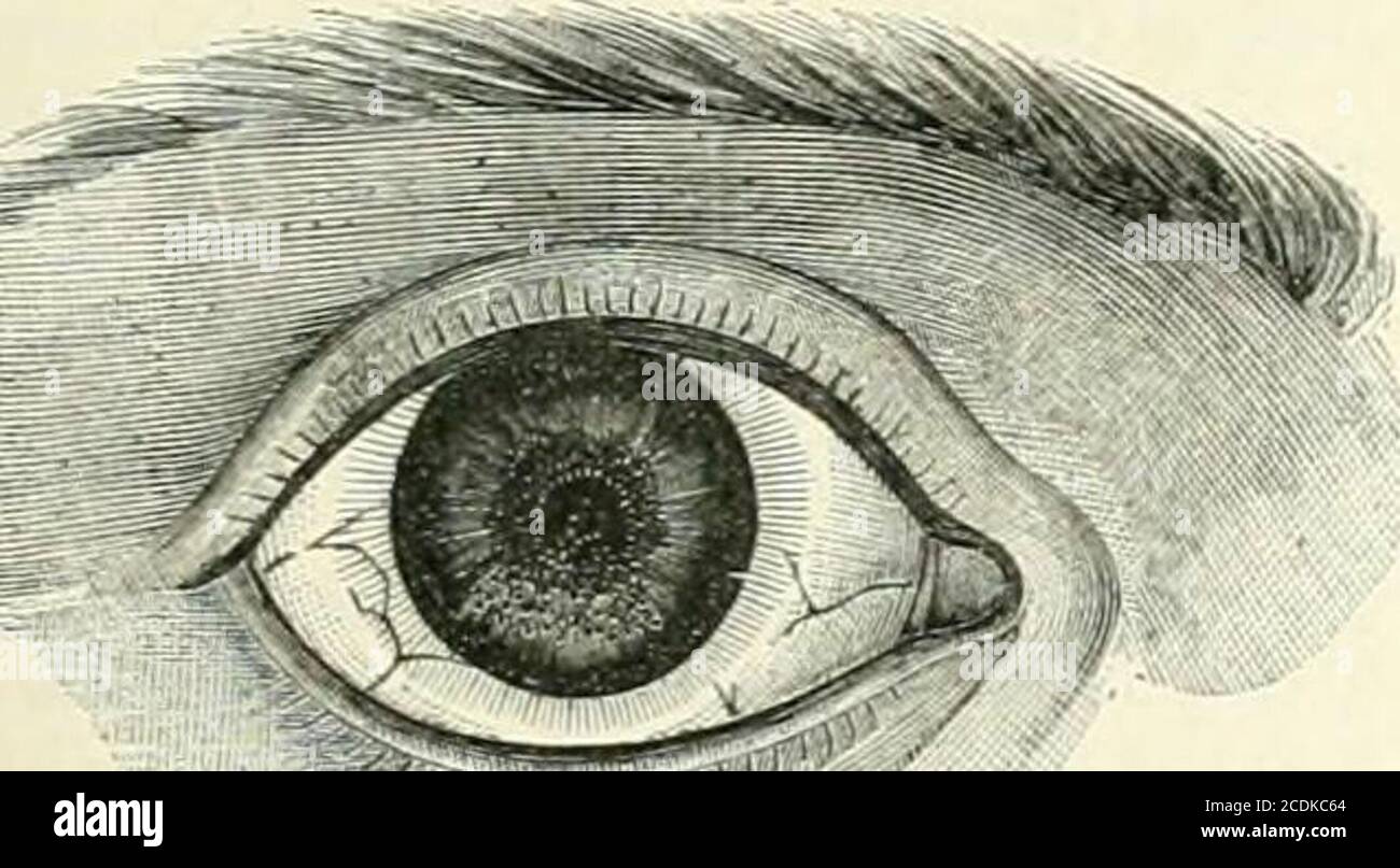 Obstructed vision hi-res stock photography and images - Alamy