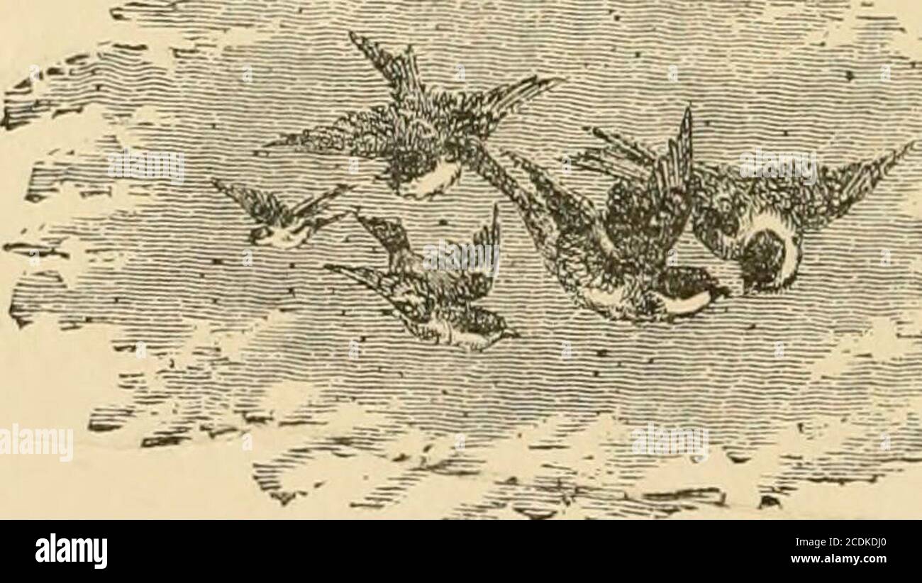 Bewilderd hi-res stock photography and images - Alamy