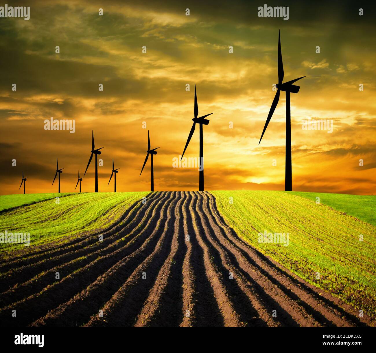 The great nature hi-res stock photography and images - Alamy