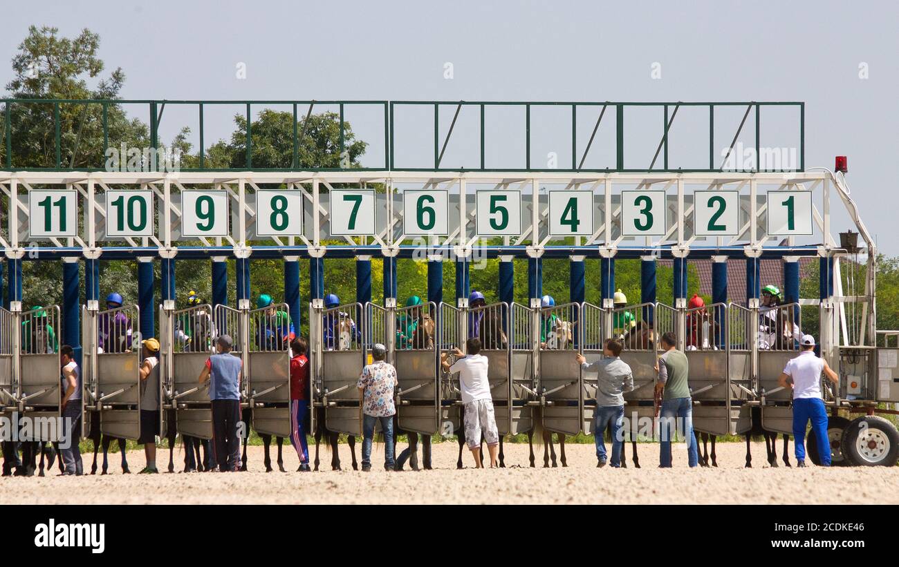 Horse Racing Start High Resolution Stock Photography and Images - Alamy