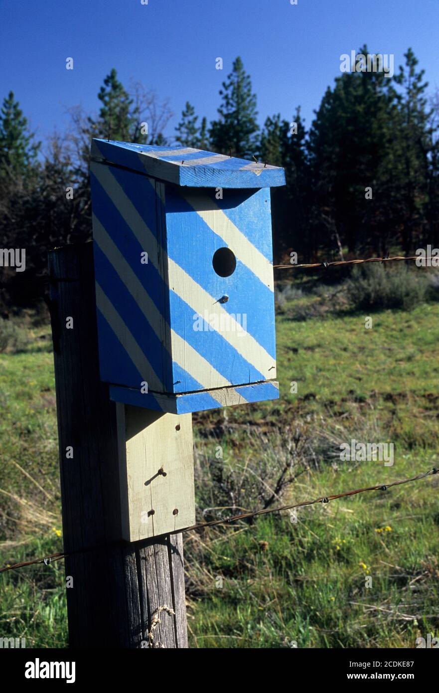 Bluebird house hi-res stock photography and images - Alamy