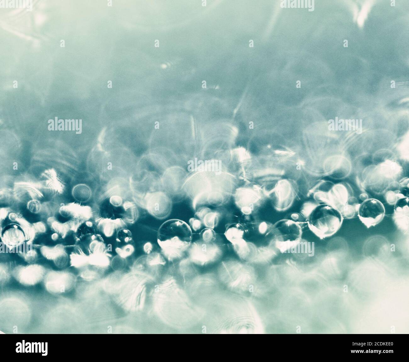 Luxury objects hi-res stock photography and images - Alamy