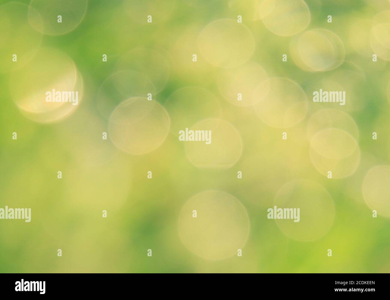 In bokeh background hi-res stock photography and images - Alamy