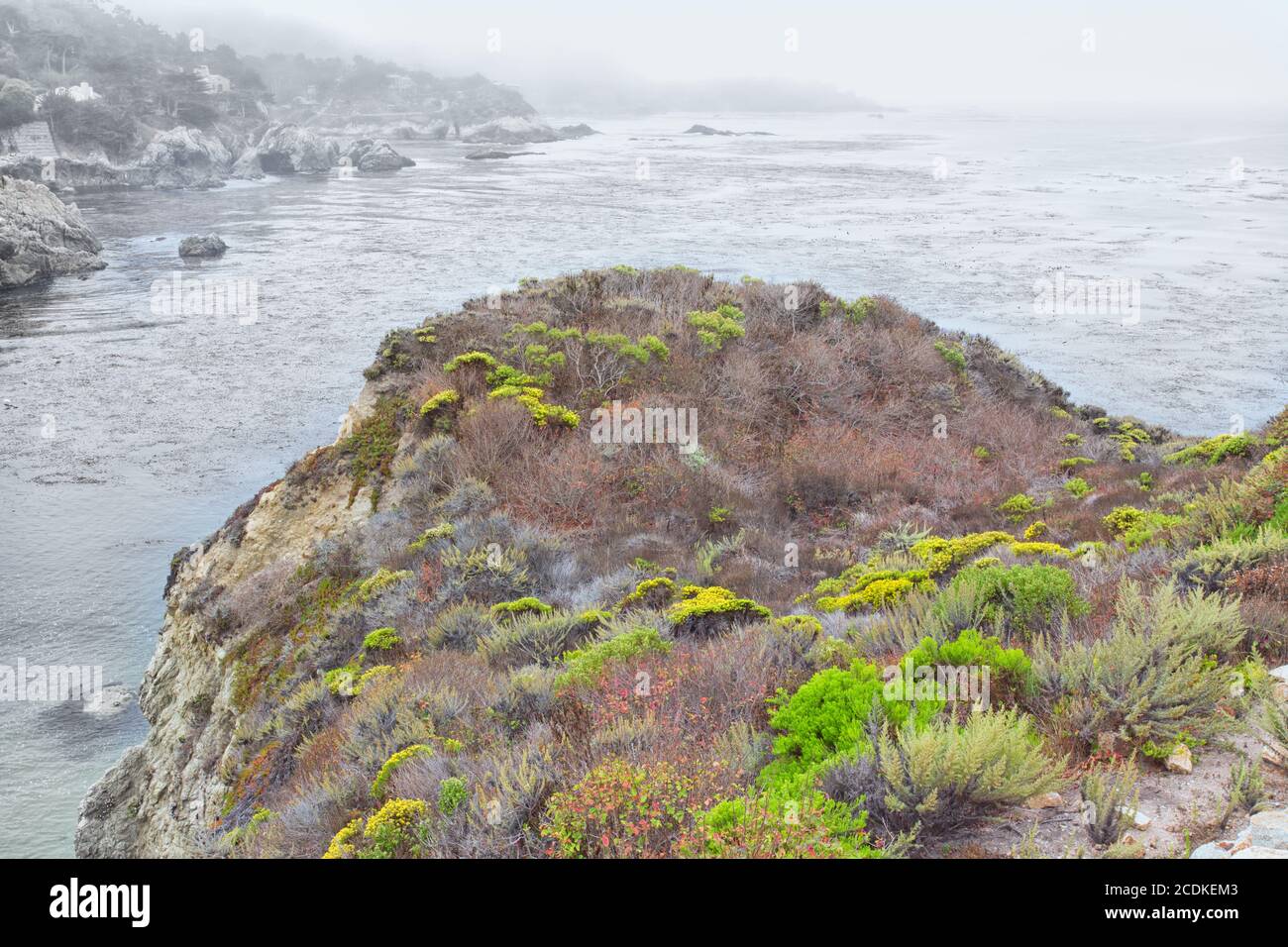 Spectaculor Rock Formations at Point Lobos State Marine Conservation ...