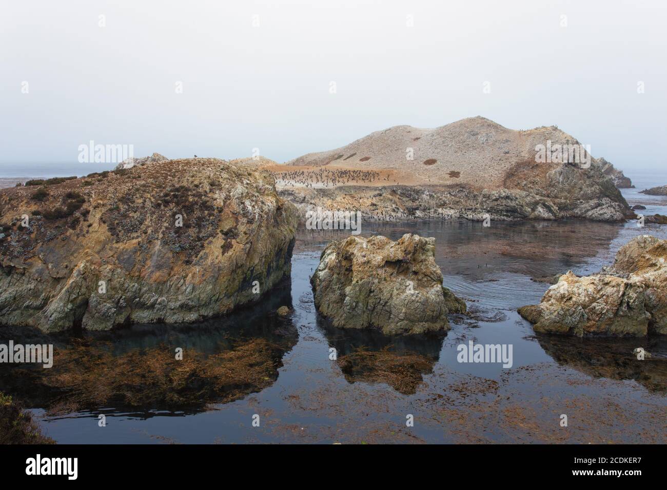 Spectaculor Rock Formations at Point Lobos State Marine Conservation ...