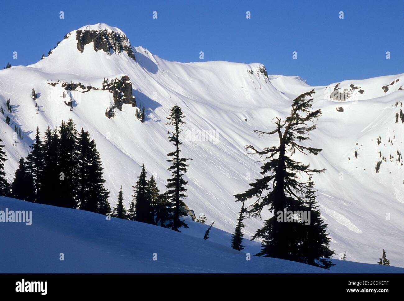 Table Mountain in winter, Mt Baker Scenic Byway, Mt Baker-Snoqualmie ...