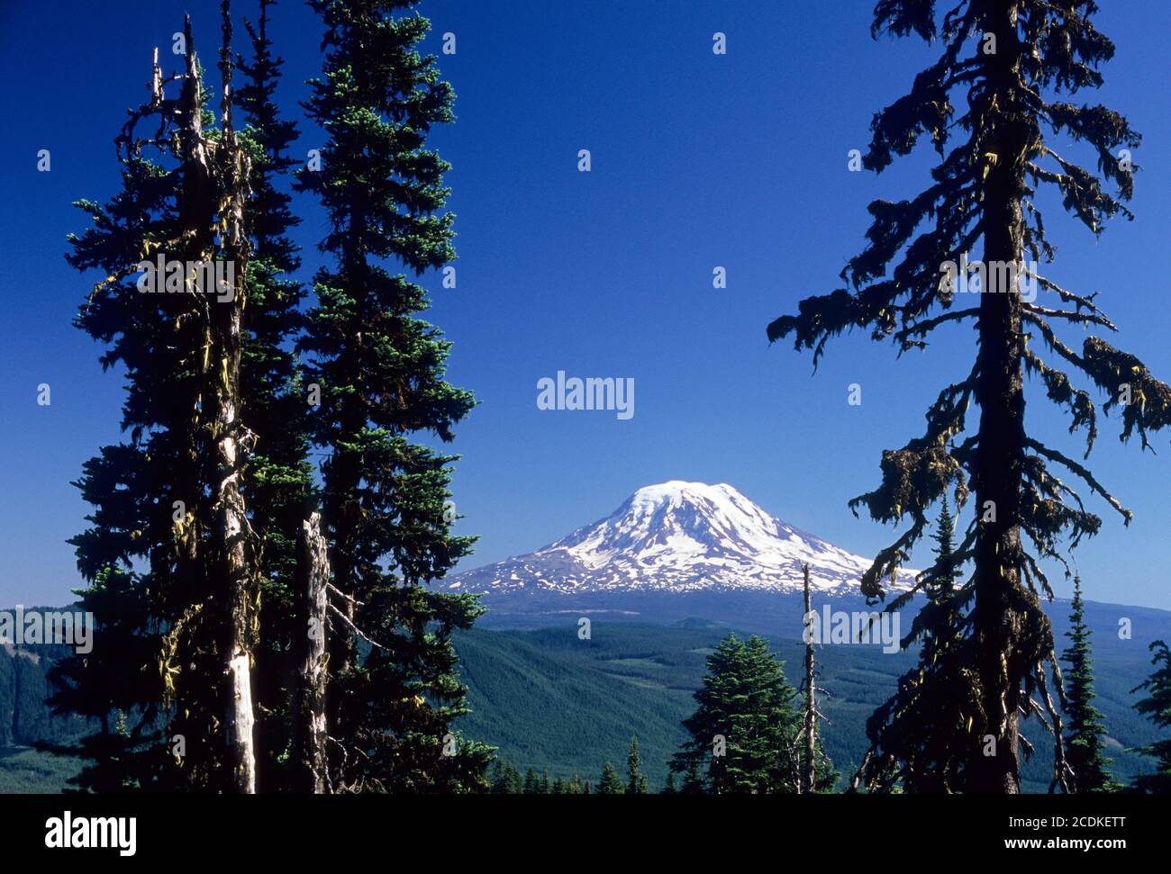 Goat Rocks Wilderness High Resolution Stock Photography and Images - Alamy