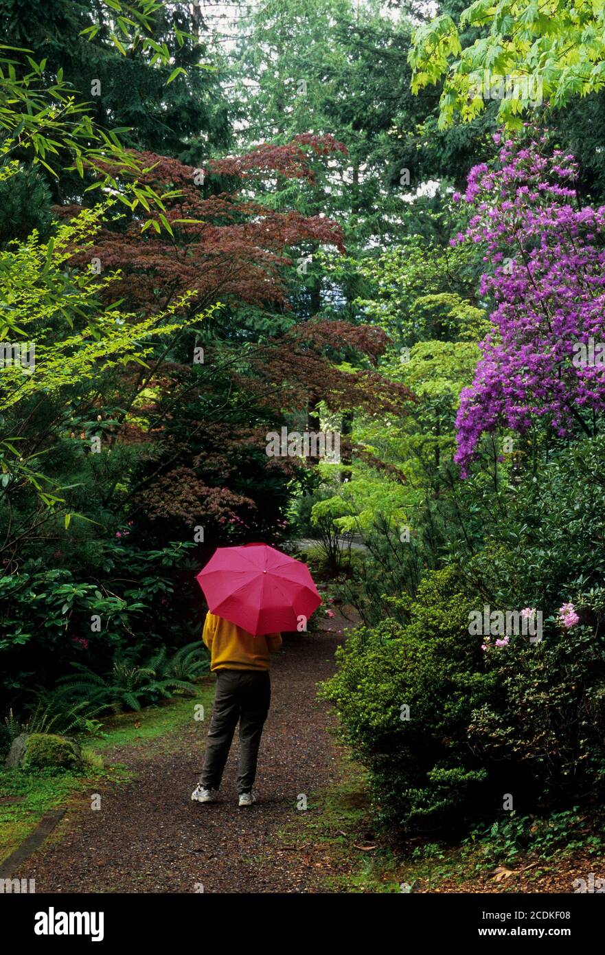 Garden path, Bellingham Children's Monument, Big Rock Garden Park ...