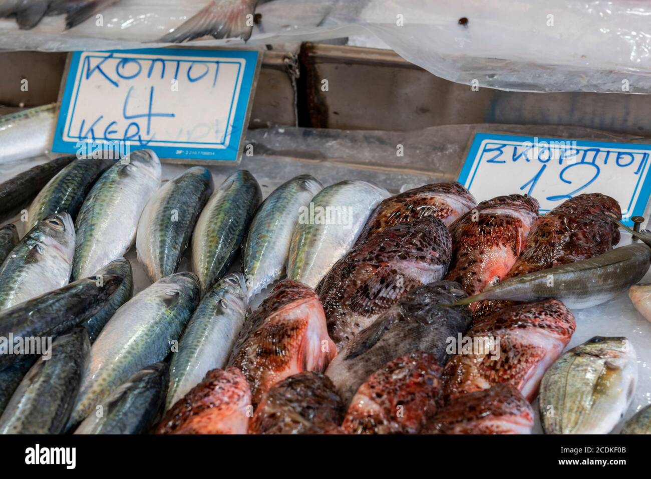 freshly caught fish on a greek market stall in corfu town Stock Photo ...