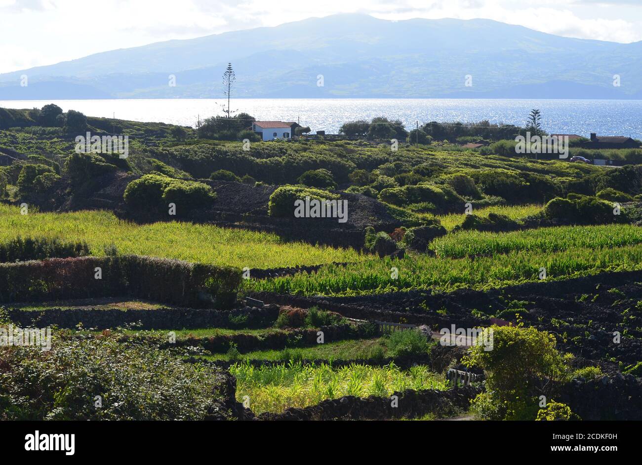 Faial island seen from Pico across the Faial-Pico Channel, Azores ...