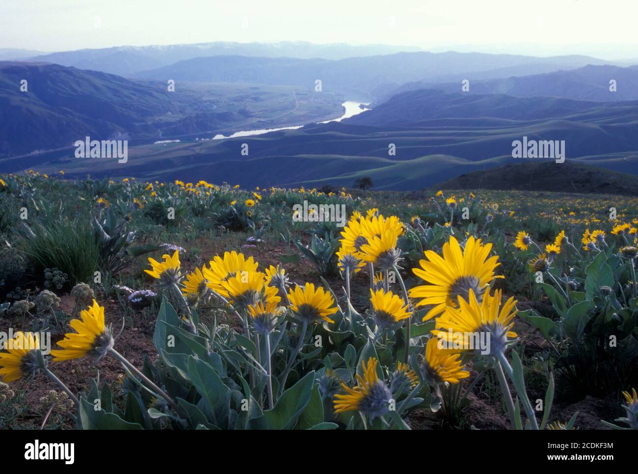 Columbia plateau hi-res stock photography and images - Alamy