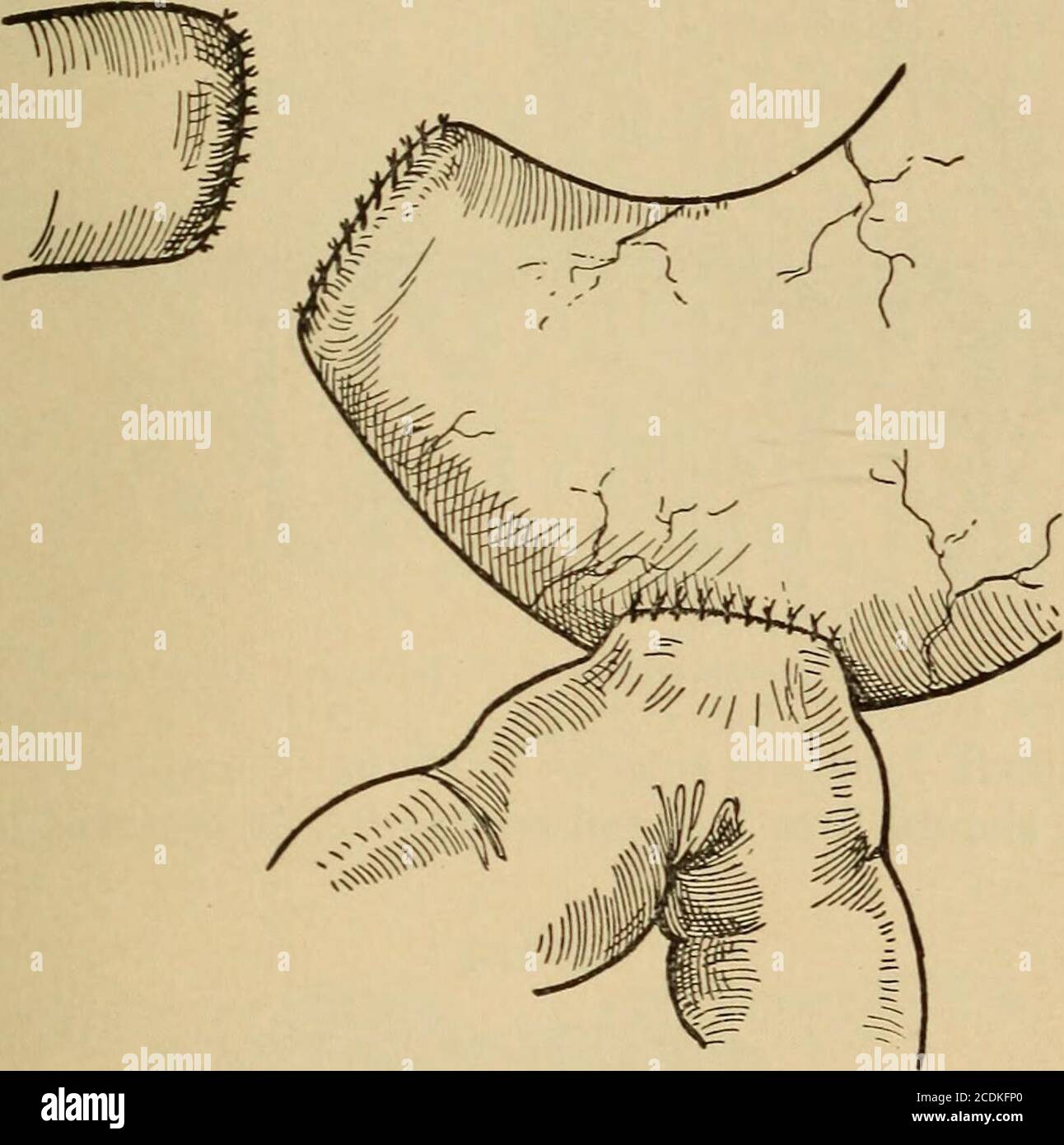 . Minor and operative surgery, including bandaging . h ...