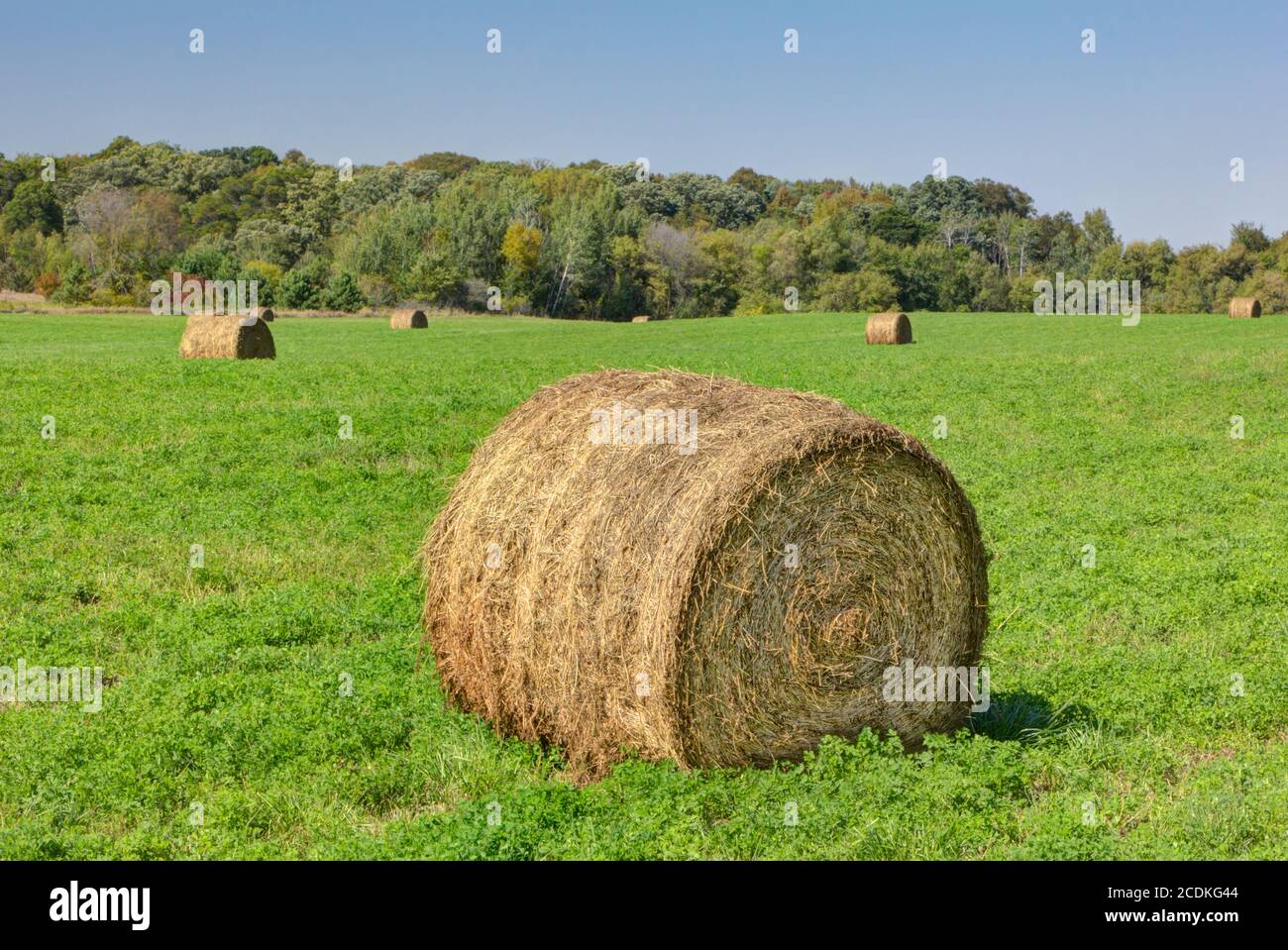 Single wheat stack hi-res stock photography and images - Alamy