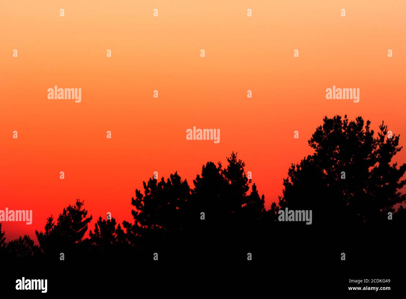 Dusk backdrop hi-res stock photography and images - Alamy