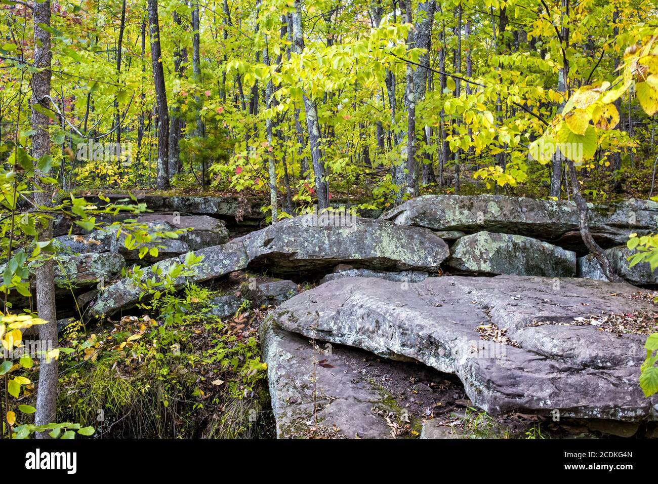 Glacial Rock Formation at Banning State Park Stock Photo - Alamy