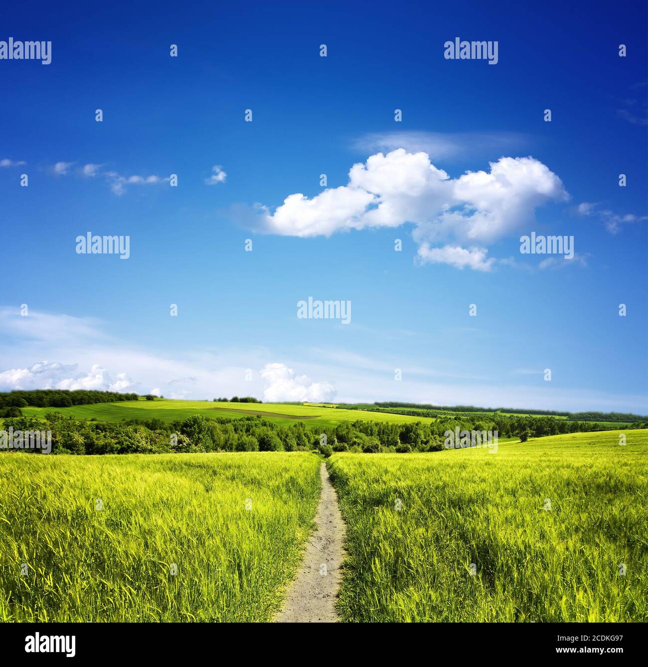 Path through grassland hi-res stock photography and images - Alamy