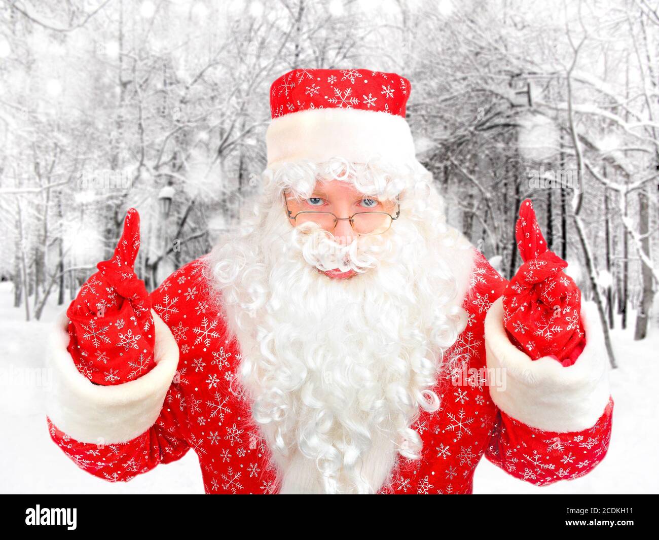 Santa Claus in Winter Forest Stock Photo - Alamy