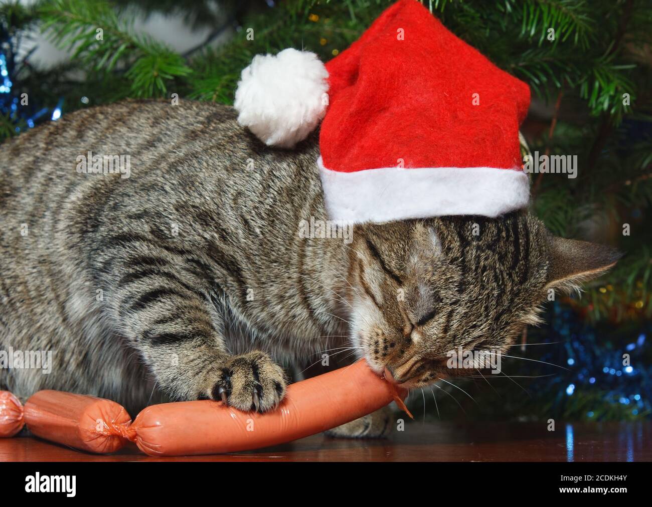 A fur tree hi-res stock photography and images - Alamy