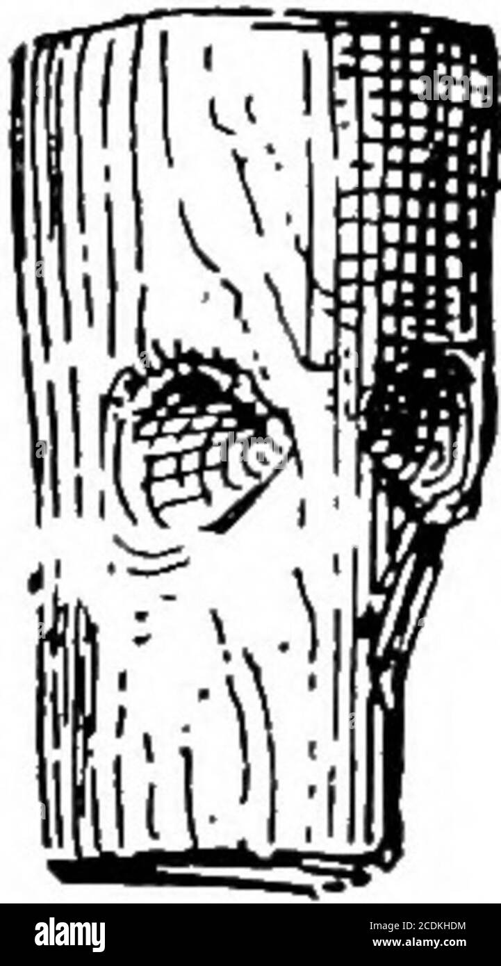 . The palace of Minos : a comparative account of the successive stages ...