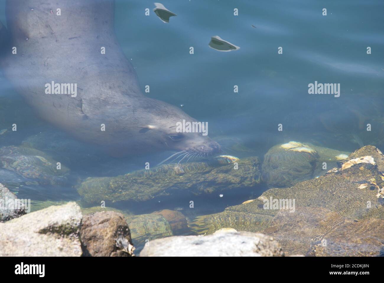 California oceanview hi-res stock photography and images - Alamy