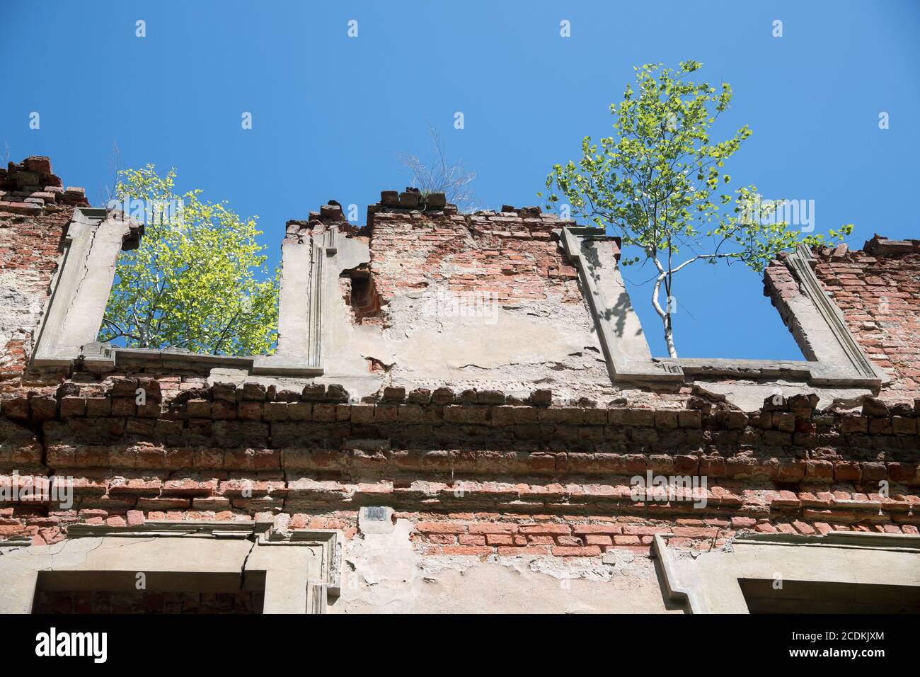 Dohna schlobitten hi-res stock photography and images - Alamy