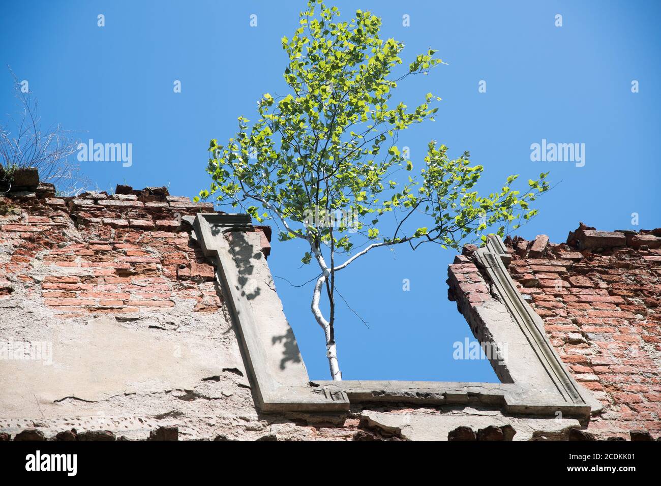 Zu dohna schlobitten palace hi-res stock photography and images - Alamy