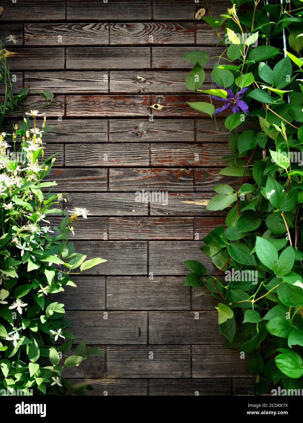 Wooden Background with Leaves Stock Photo - Alamy