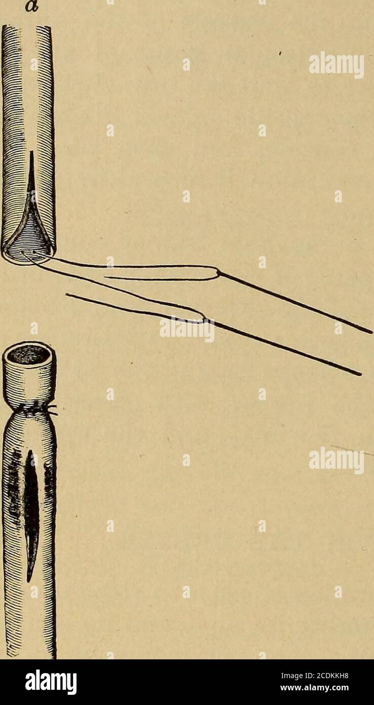 . Minor and operative surgery, including bandaging . tion consists in ...