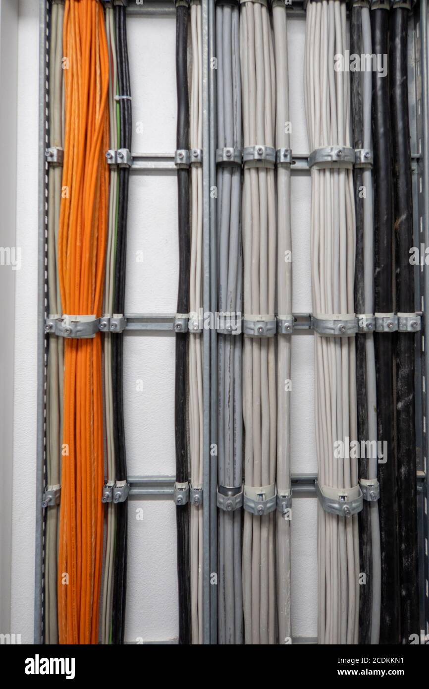 many different colored network cables run parallel to each other Stock ...