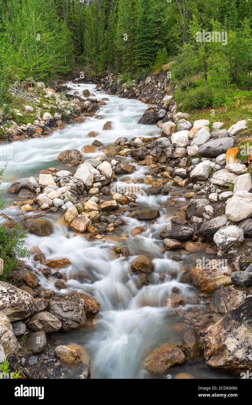 A mountain creek along the Icefields Parkway, Banff National Park ...