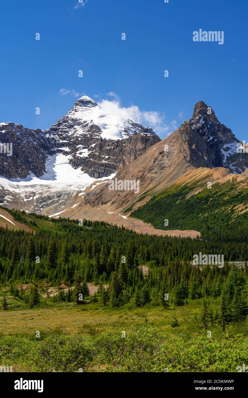 Parker Ridge, Icefields Parkway, Banff National Park, Alberta, Canada ...