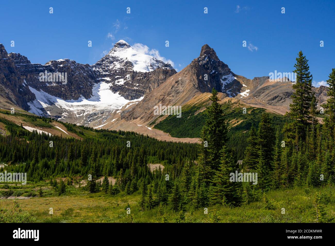 Parker Ridge, Icefields Parkway, Banff National Park, Alberta, Canada ...