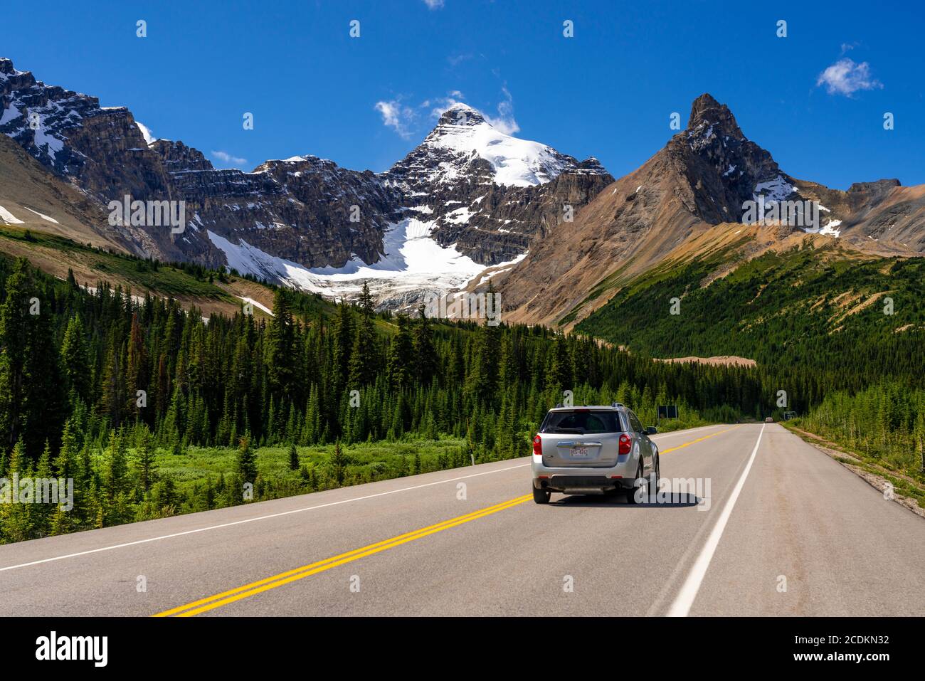 Parker Ridge, Icefields Parkway, Banff National Park, Alberta, Canada ...
