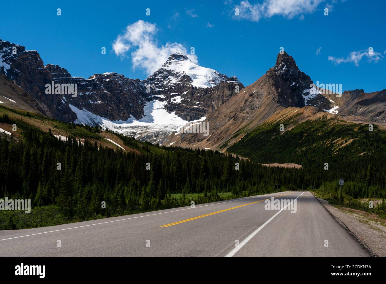 Parker Ridge, Icefields Parkway, Banff National Park, Alberta, Canada ...