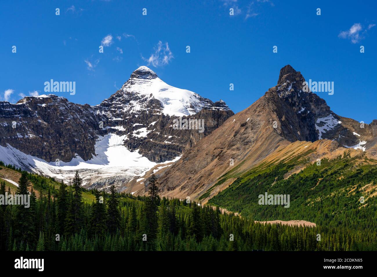 Parker Ridge, Icefields Parkway, Banff National Park, Alberta, Canada ...