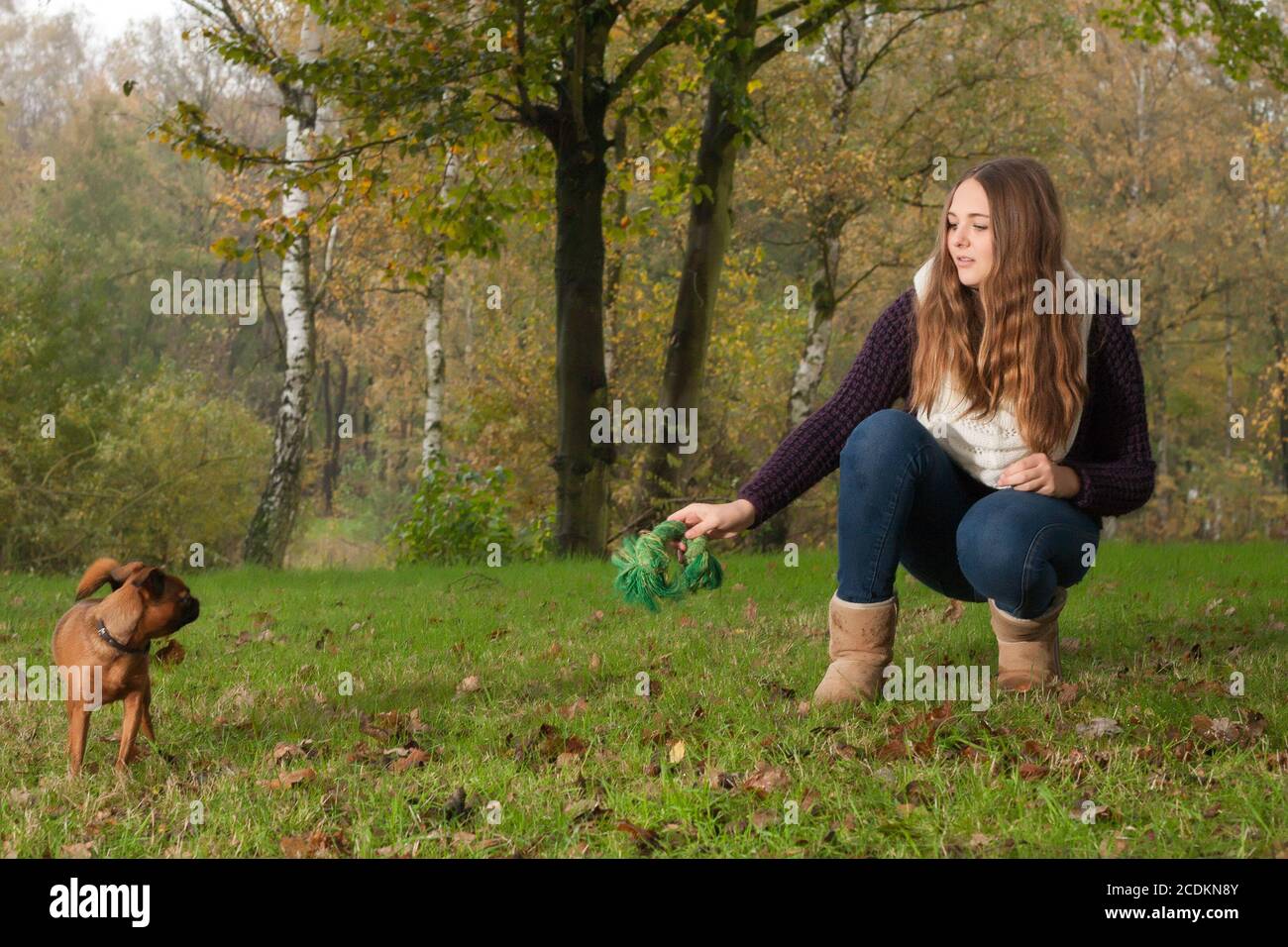 Dog want's to play Stock Photo - Alamy