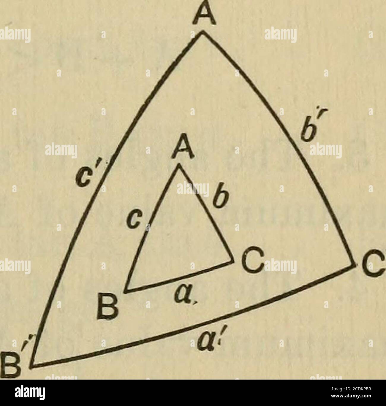 Spherical Triangle