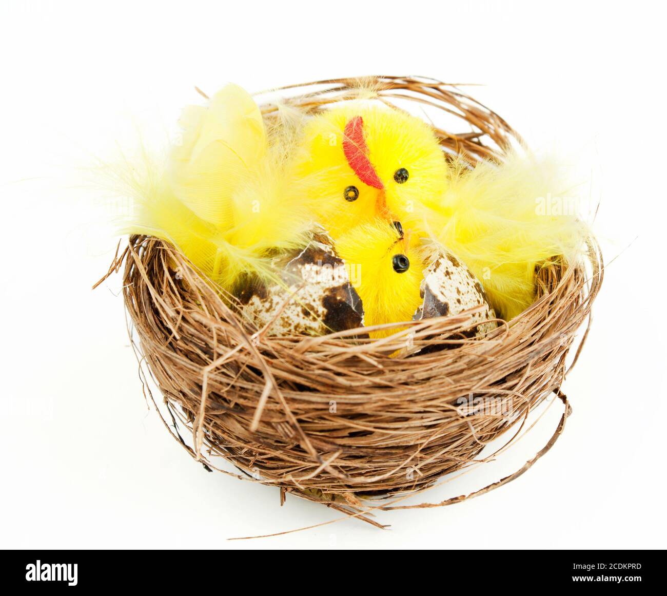 Easter chicken and hen bird's nest Stock Photo - Alamy