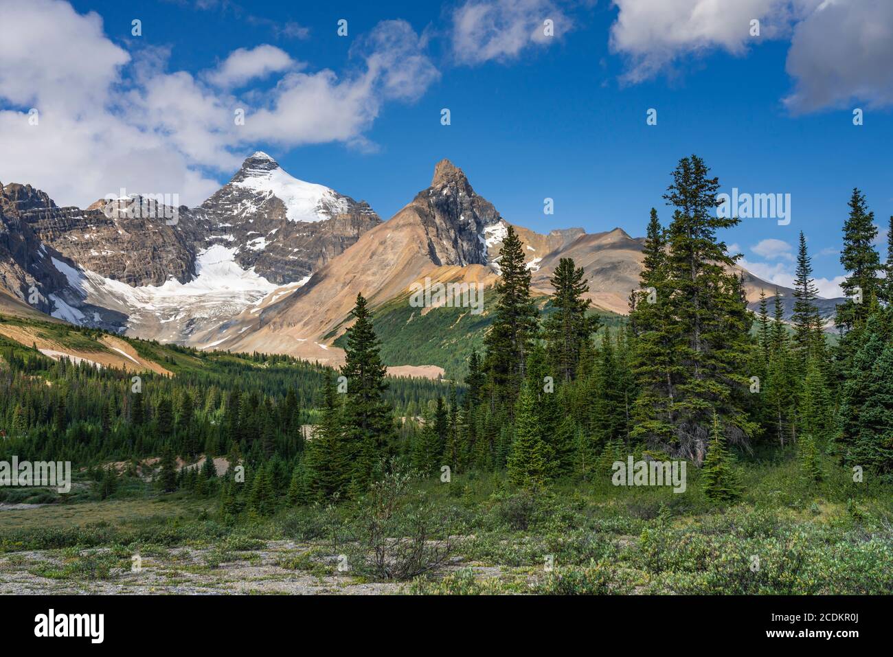 Parker Ridge, Icefields Parkway, Banff National Park, Alberta, Canada ...