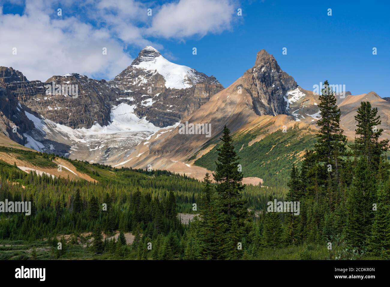 Parker Ridge, Icefields Parkway, Banff National Park, Alberta, Canada ...