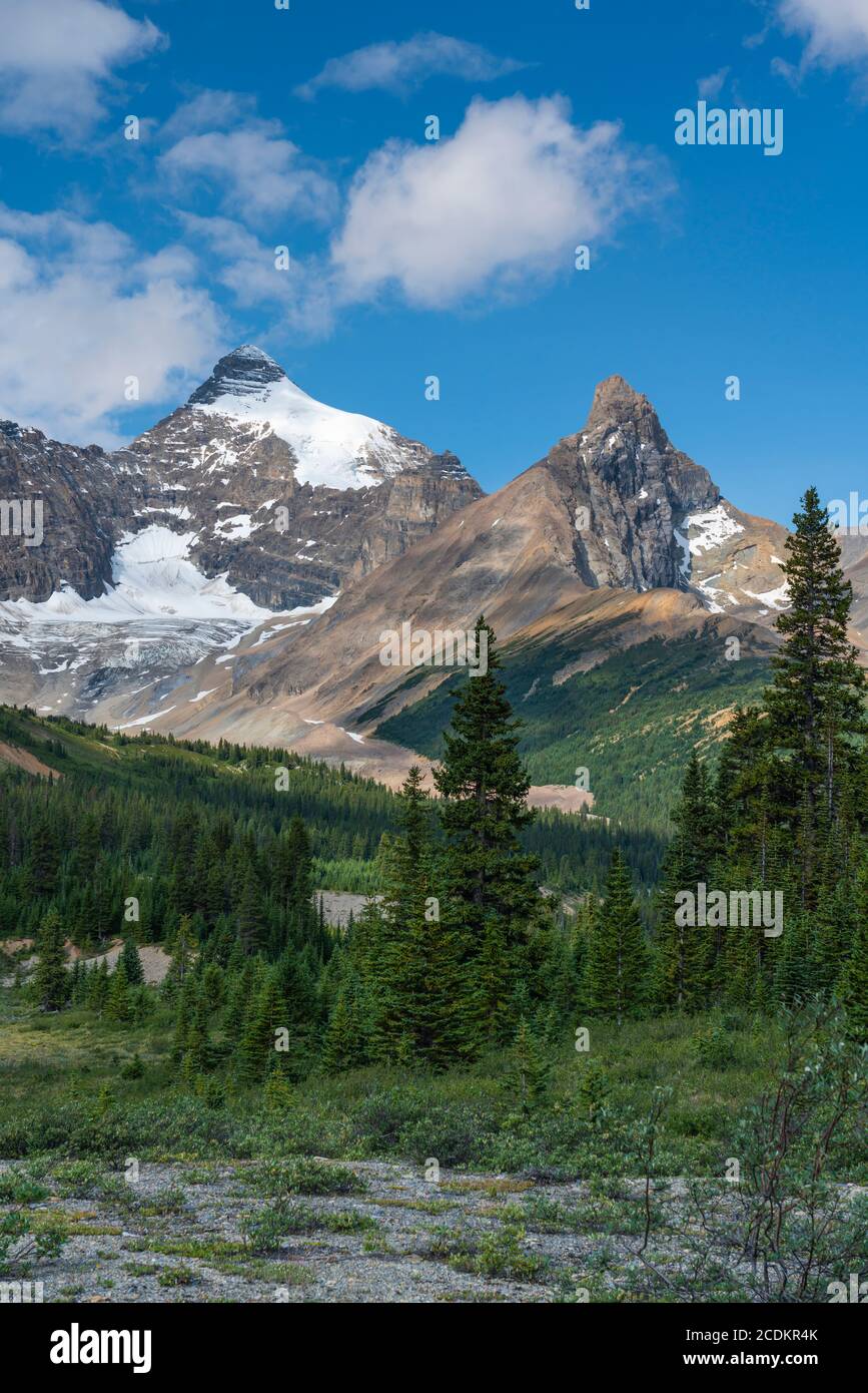 Parker Ridge, Icefields Parkway, Banff National Park, Alberta, Canada ...