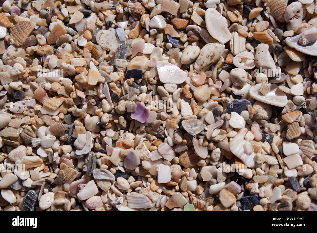 Shingle sand beaches hi-res stock photography and images - Alamy